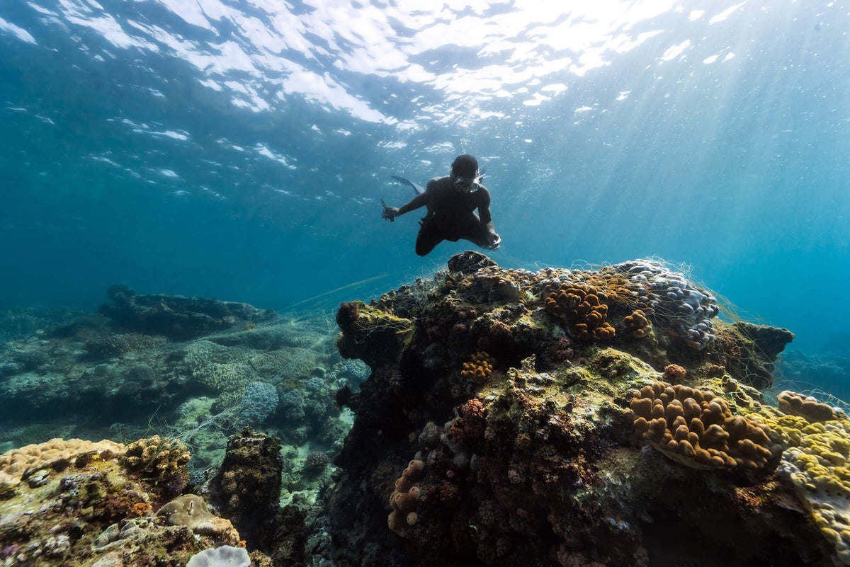 Peixinho - My First Film – Kaush