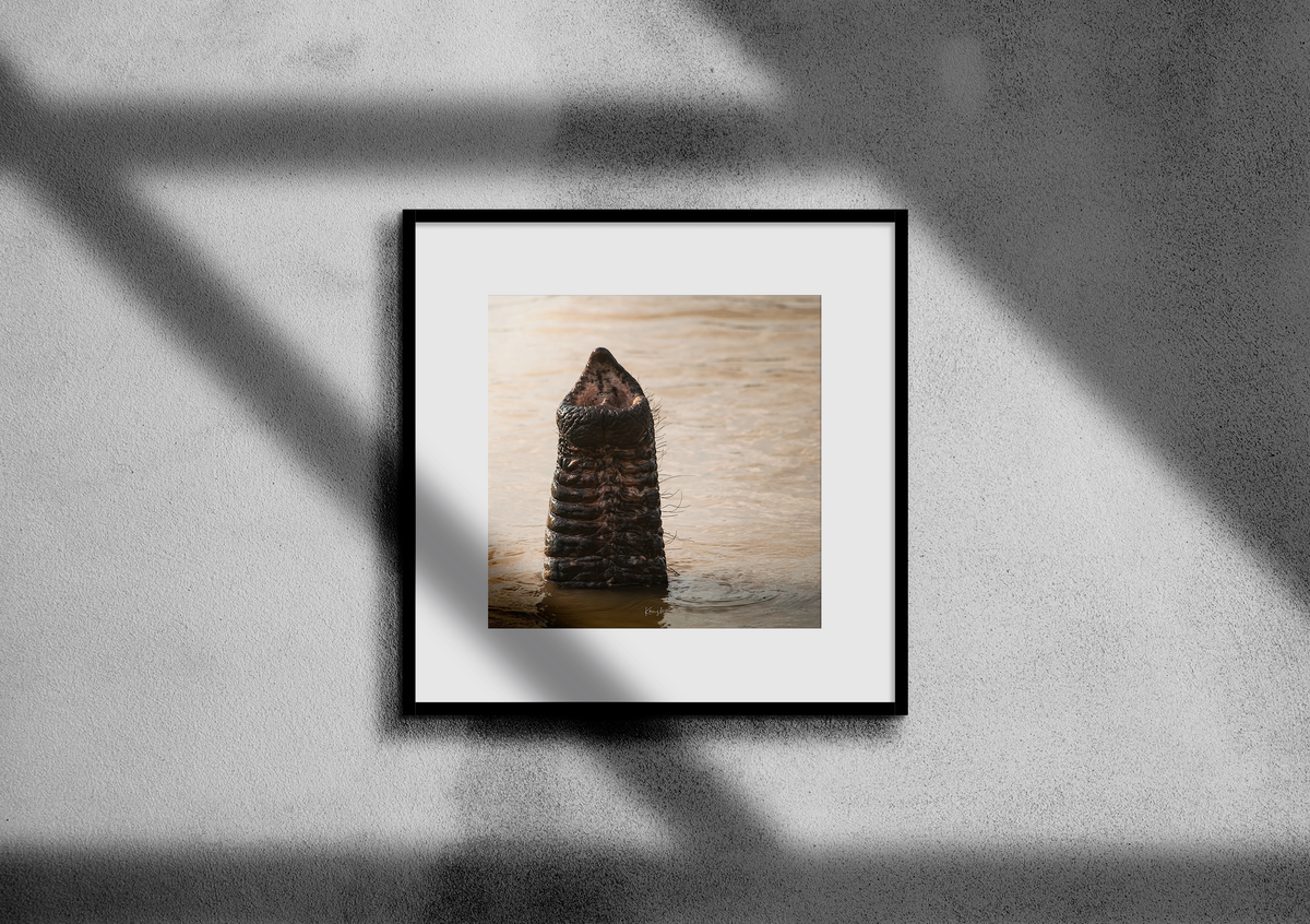 Hand Crafted Frames – Kaush