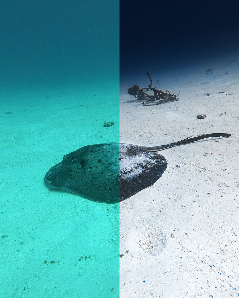 Malé Photography & Editing Workshop – Kaush